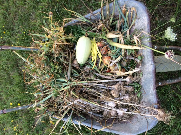 Tout savoir sur la Z-Machine: explication et fonctionnement - Page 25