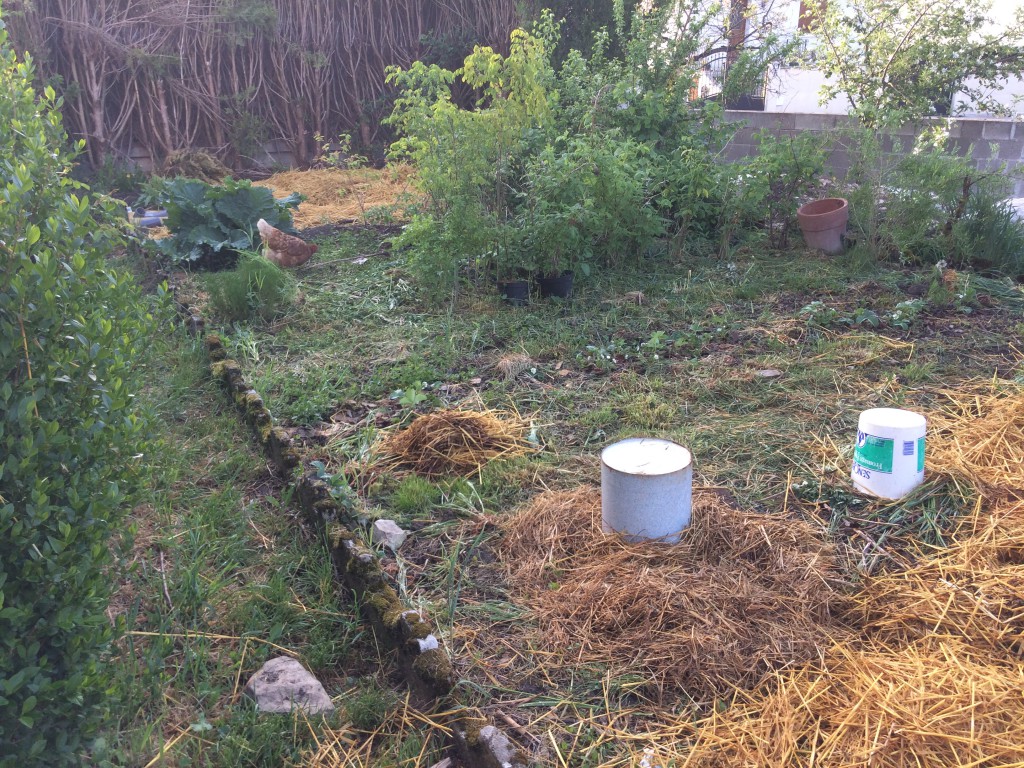 molécula de agua: dextrógiro o levógiro?