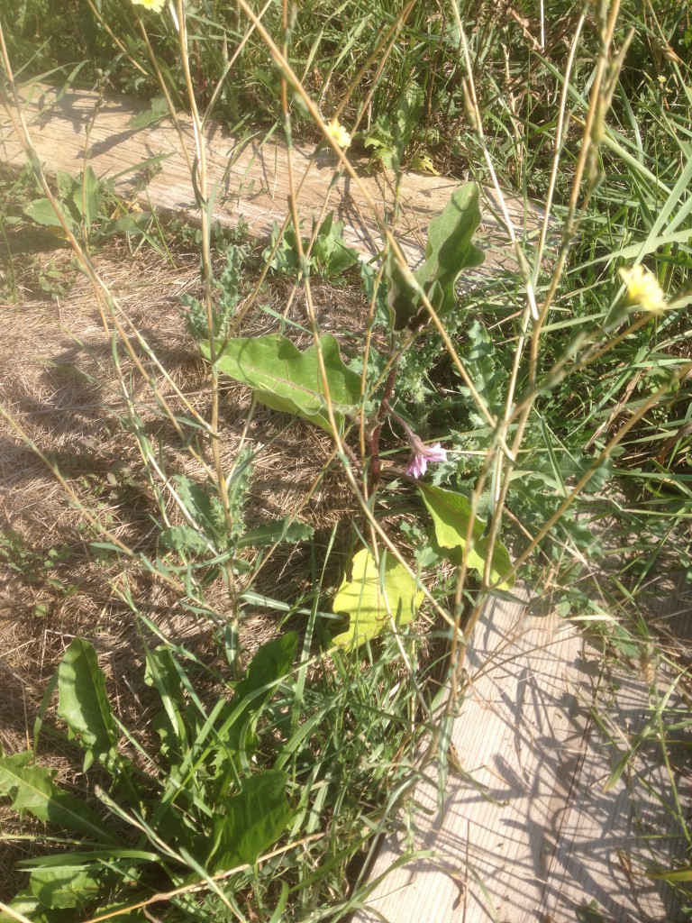 Tout savoir sur la Z-Machine: explication et fonctionnement - Page 36